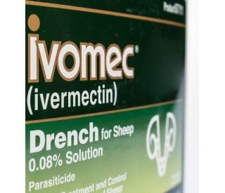 Ivomec® Sheep Drench | Santa Cruz Animal Health