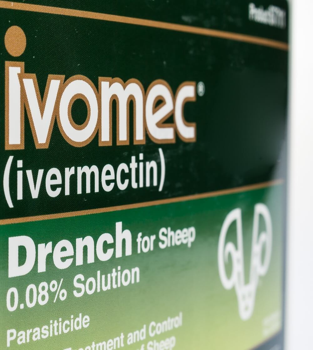 Ivomec® Sheep Drench | Santa Cruz Animal Health