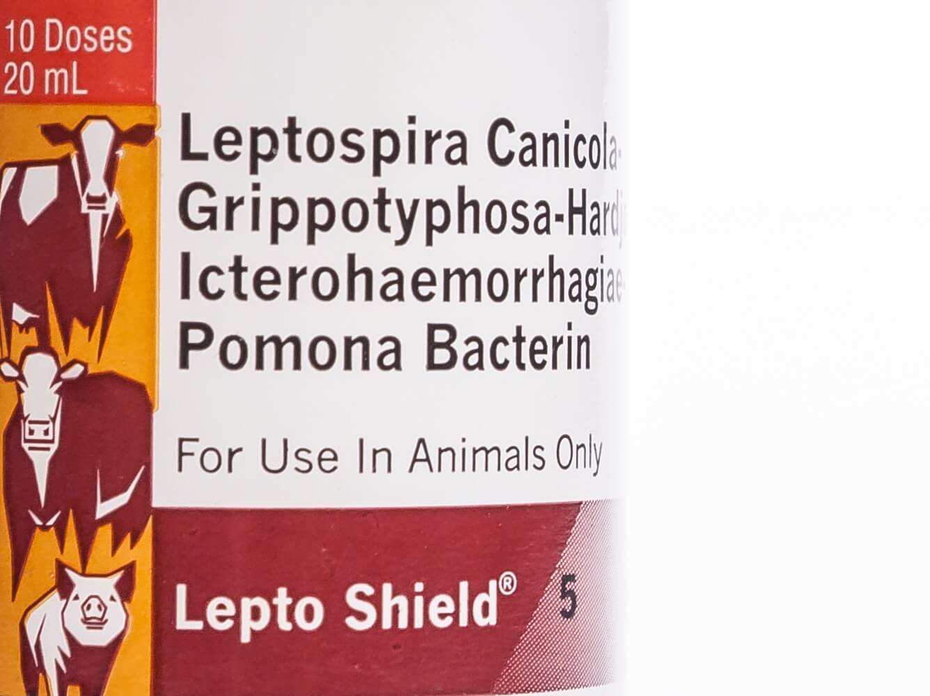 Shop Pharmacy for Sheep