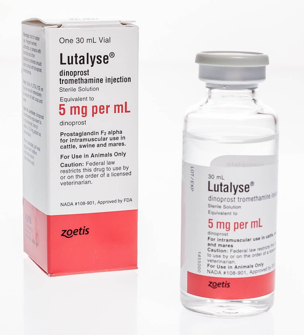 Shop Pharmacy for Sheep Rx Critical Care