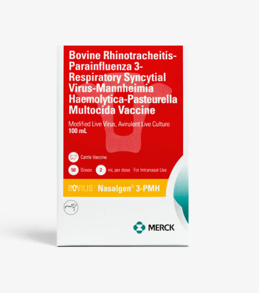 Shop Pharmacy for Sheep Rx Critical Care