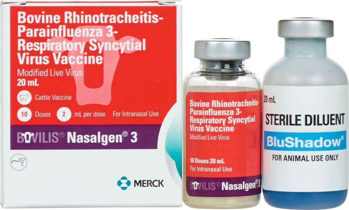 Shop Pharmacy for Sheep Rx Critical Care