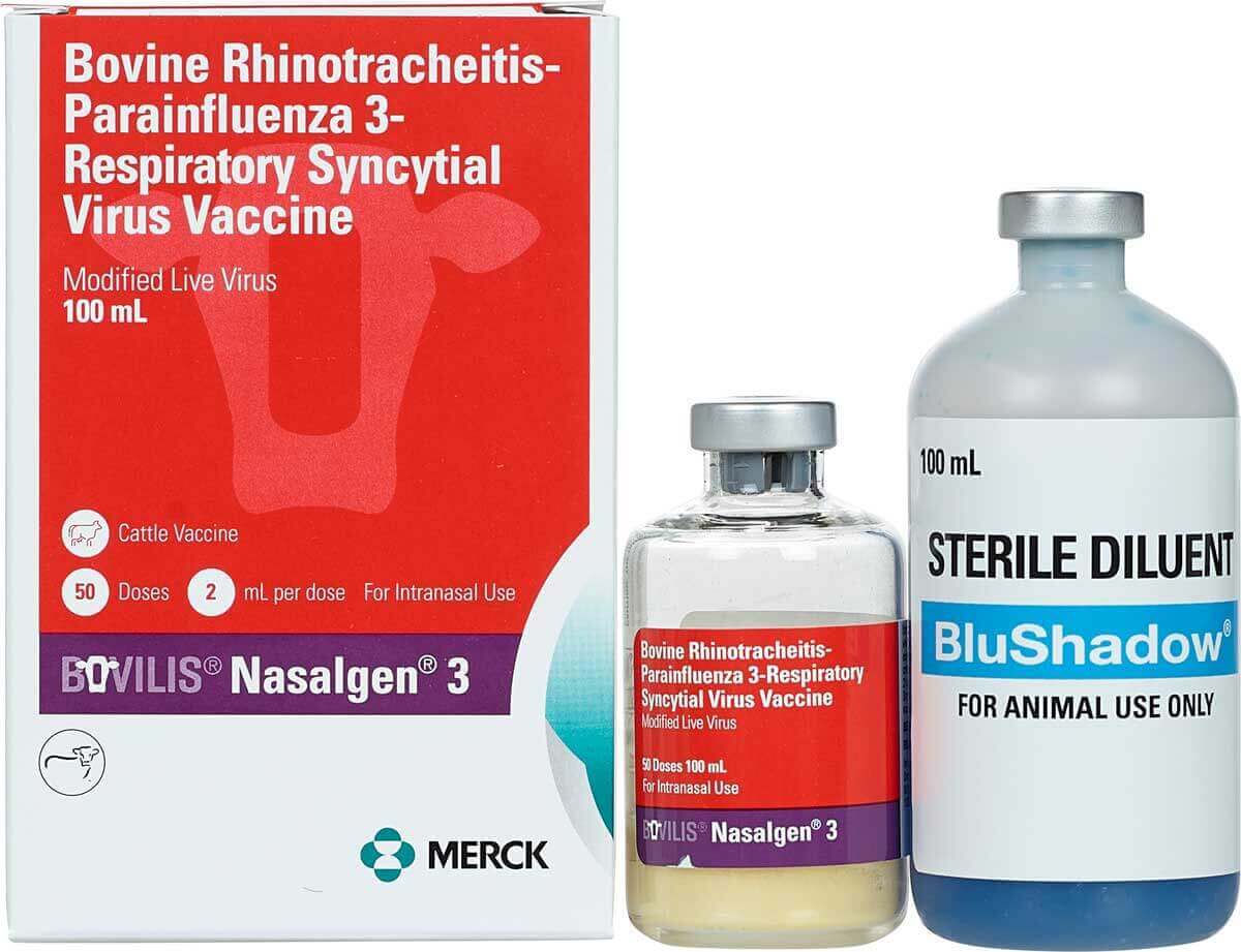Shop Pharmacy for Sheep Rx Critical Care