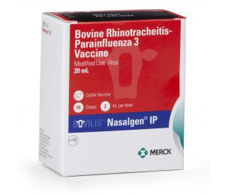 Bovilis® Nasalgen® IP | Santa Cruz Animal Health