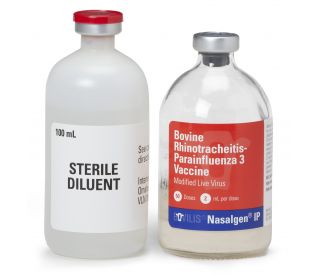 Nasalgen® IP, 50 ds: sc-359408...