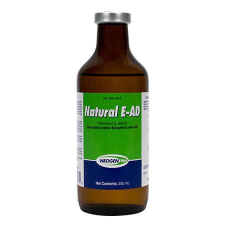 Natural Vitamin E-AD Injection | Santa Cruz Animal Health