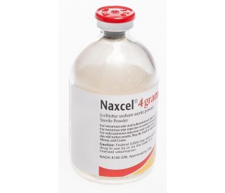 Naxcel (ceftiofur sodium) Sterile Powder, 4 grams
