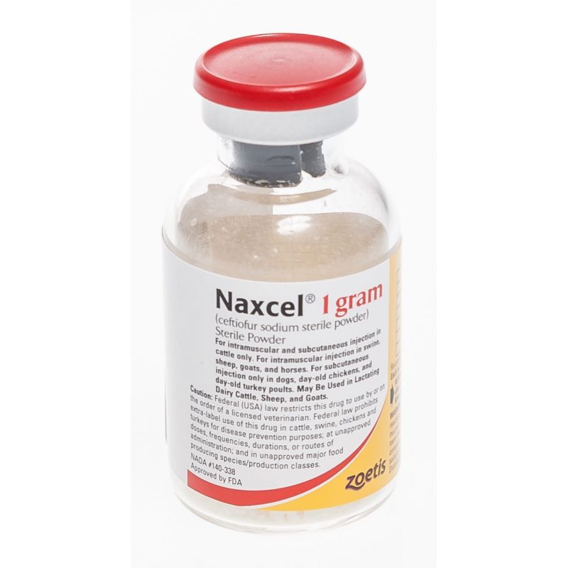 Naxcel® (ceftiofur sodium) Sterile Powder | Santa Cruz Animal Health