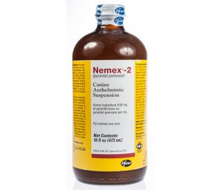 Nemex®-2 Oral Liquid | Santa Cruz Animal Health