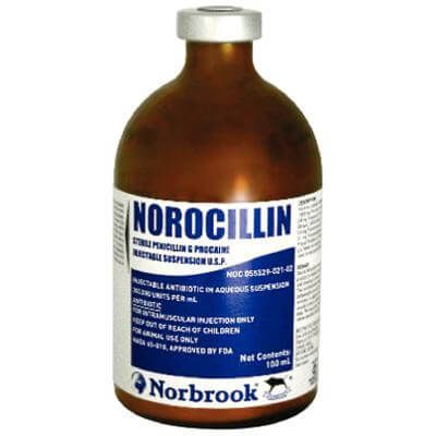 Norocillin Injection | Santa Cruz Animal Health