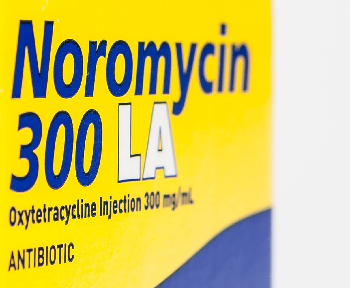 Shop Pharmacy for Sheep Rx Critical Care