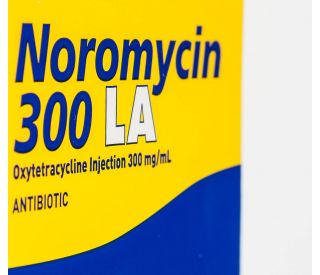 Noromycin 300 LA | Santa Cruz Animal Health