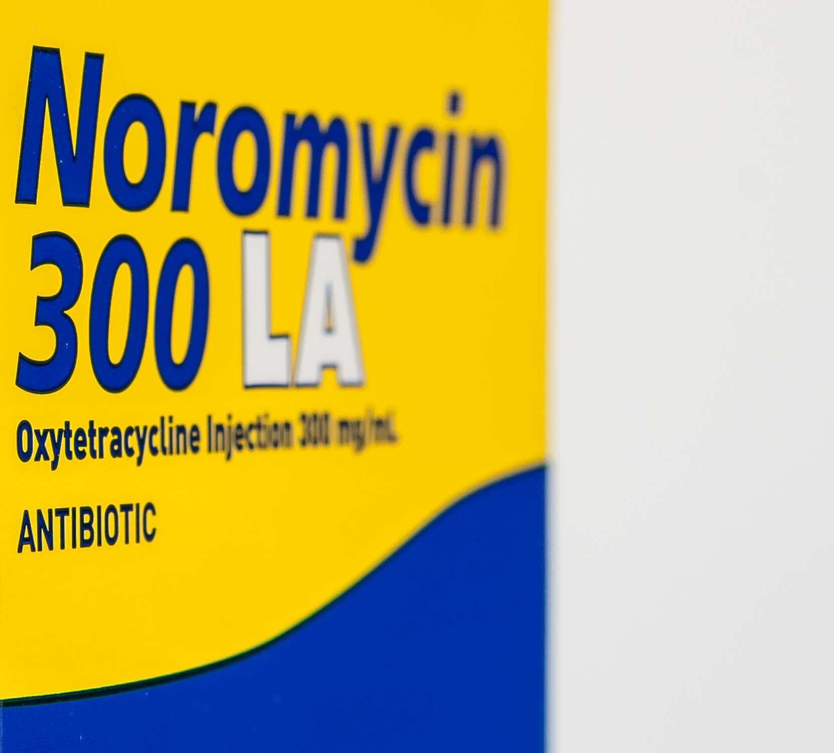 Noromycin 300 LA | Santa Cruz Animal Health