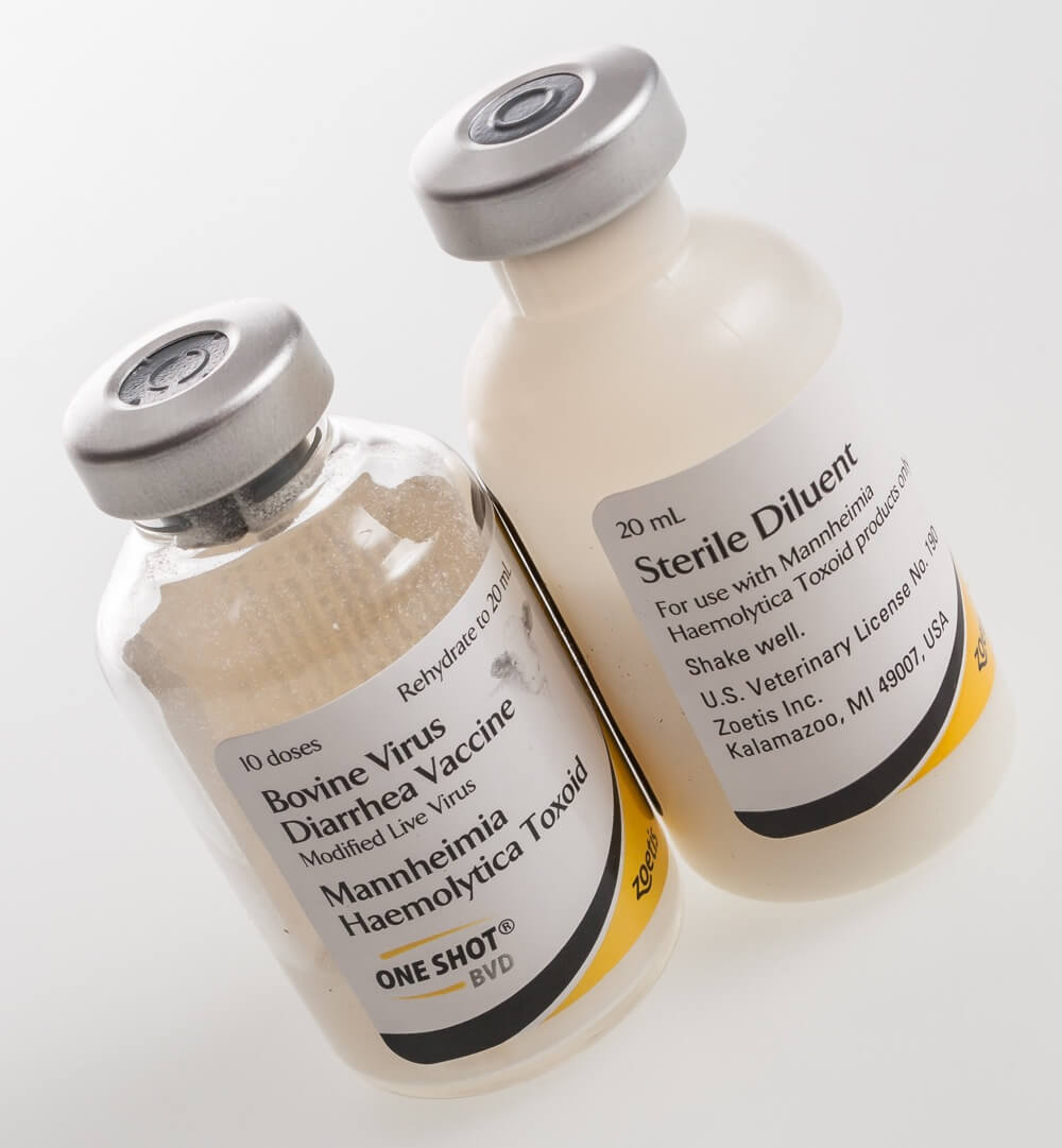 Shop Pharmacy for Sheep Rx Critical Care