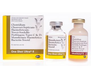 One Shot Ultra 8, 10 doses