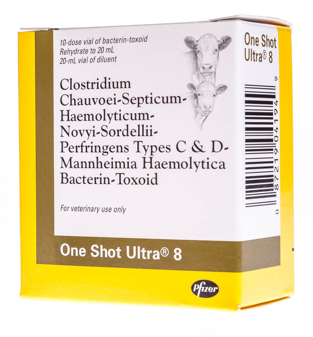 Shop Pharmacy for Sheep Rx Critical Care