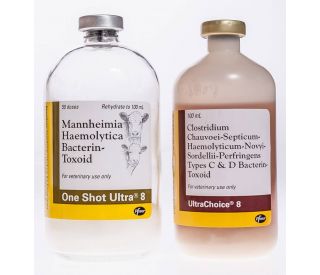 One Shot Ultra® 8 | Santa Cruz Animal Health