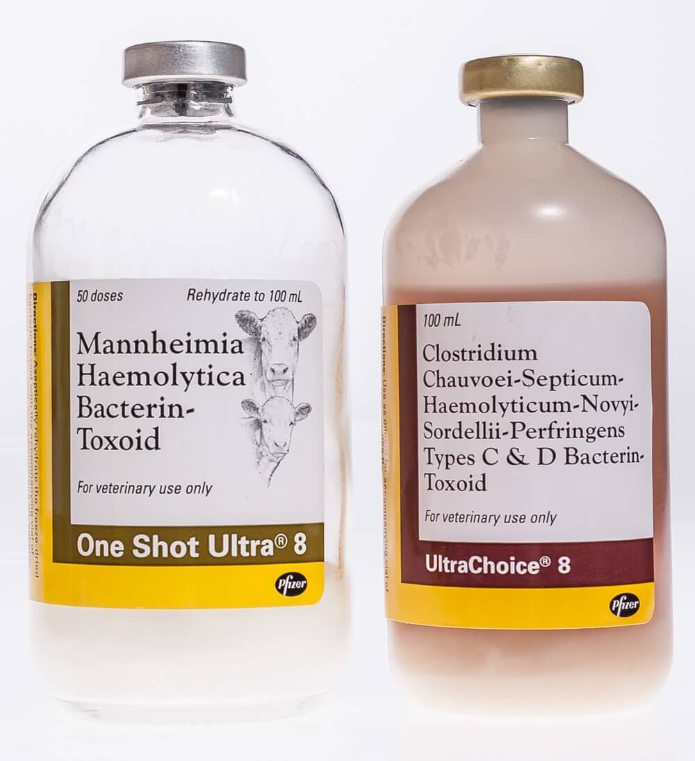 Shop Pharmacy for Sheep Rx Critical Care