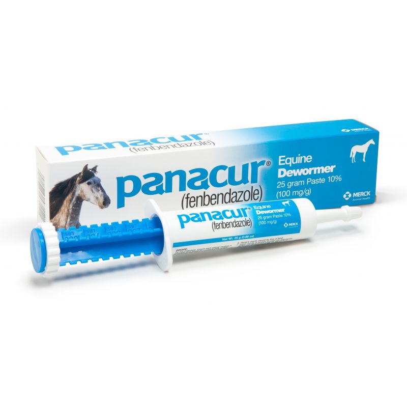 Panacur® Equine Dewormer | Santa Cruz Animal Health