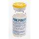 Polyglycan® Sterile Solution | Santa Cruz Animal Health