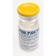 Polyglycan® Sterile Solution | Santa Cruz Animal Health