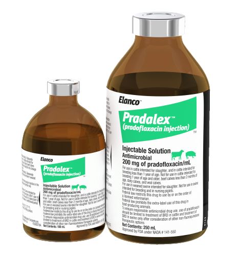 Pradalex (Pradofloxacin) Injection | Santa Cruz Animal Health