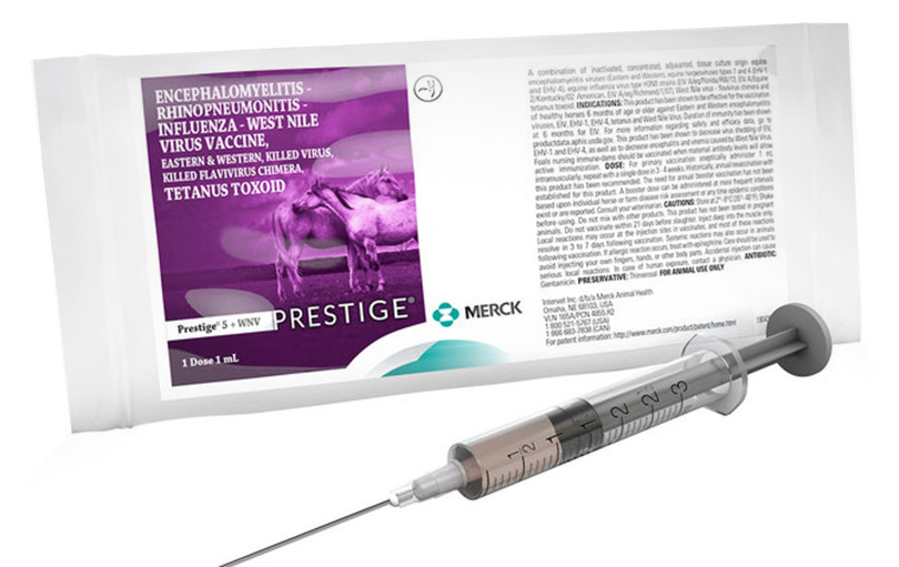 Shop Pharmacy for Sheep Rx Critical Care
