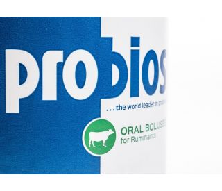 Probios® Bolus, 0.25 oz, 50/jar: sc-360473...