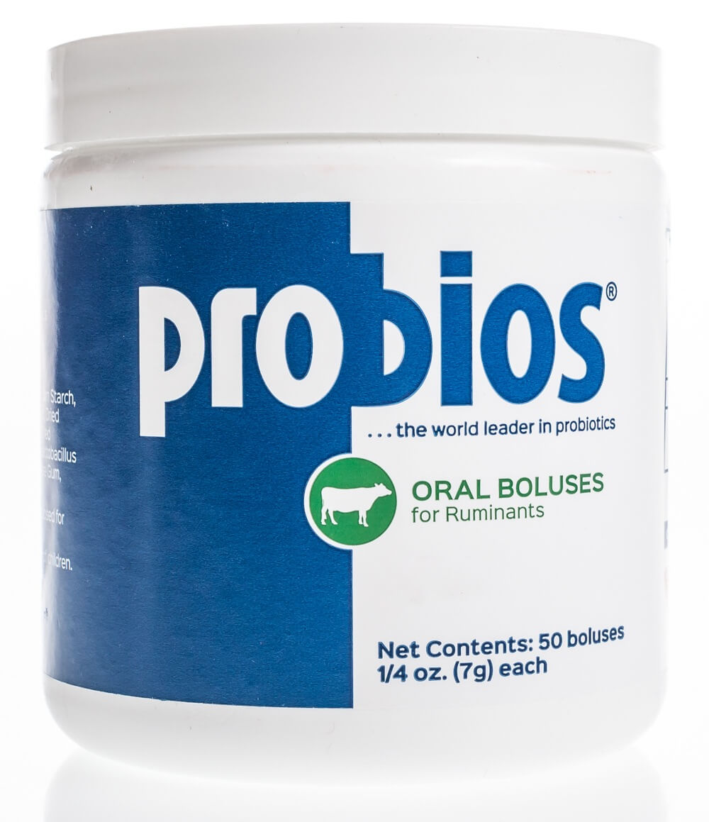 Shop Pharmacy for Sheep Rx Critical Care