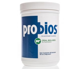 Probios® Bolus | Santa Cruz Animal Health