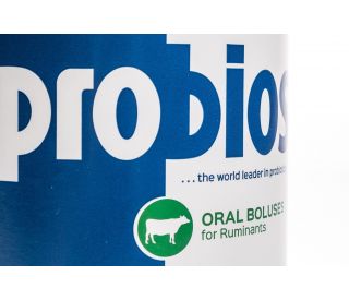 Probios® Bolus, 0.5 oz, 50/jar: sc-360472...