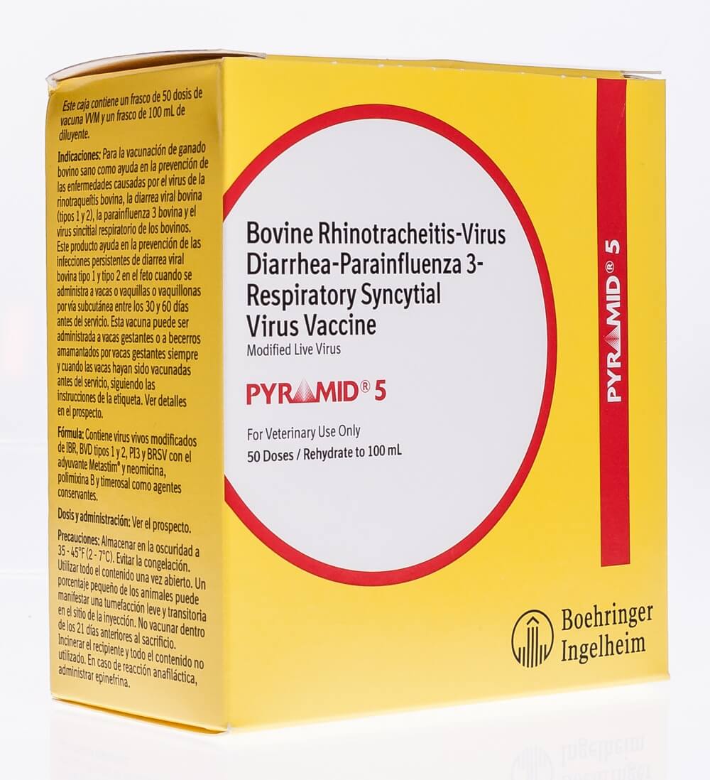 Shop Pharmacy for Sheep Rx Critical Care