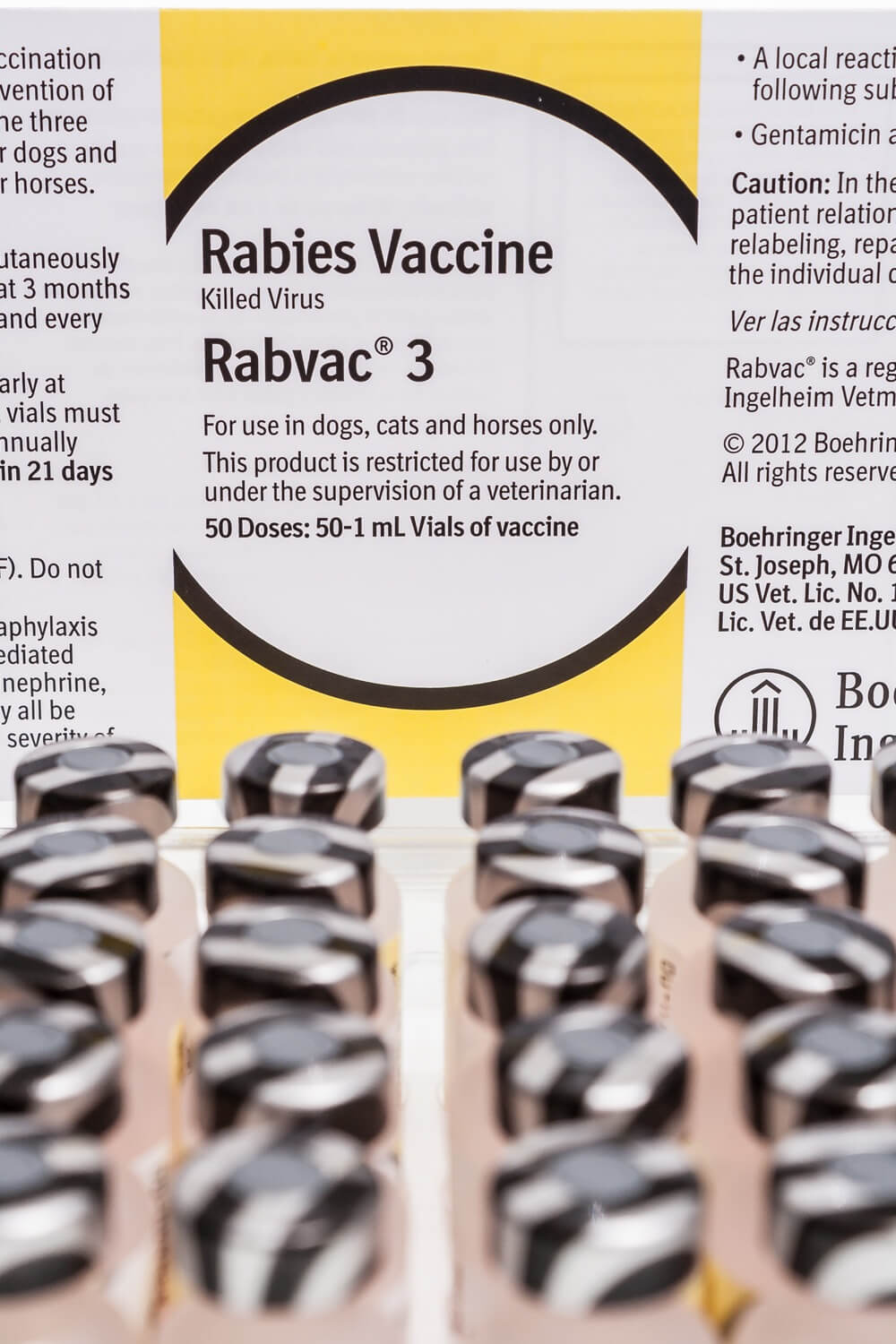 Shop Pharmacy for Sheep Rx Critical Care