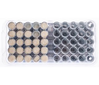 Recombitek C3 (rDAP), 25 x 1 dose