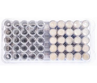 Recombitek C4 (rDAPP), 25 x 1 dose