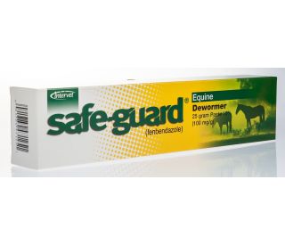 Safe-Guard® Equine Paste 10% | Santa Cruz Animal Health