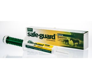 Safe-Guard® Equine Paste 10% | Santa Cruz Animal Health