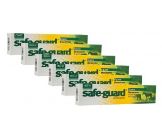 Safe-Guard® Equine Paste 10% | Santa Cruz Animal Health