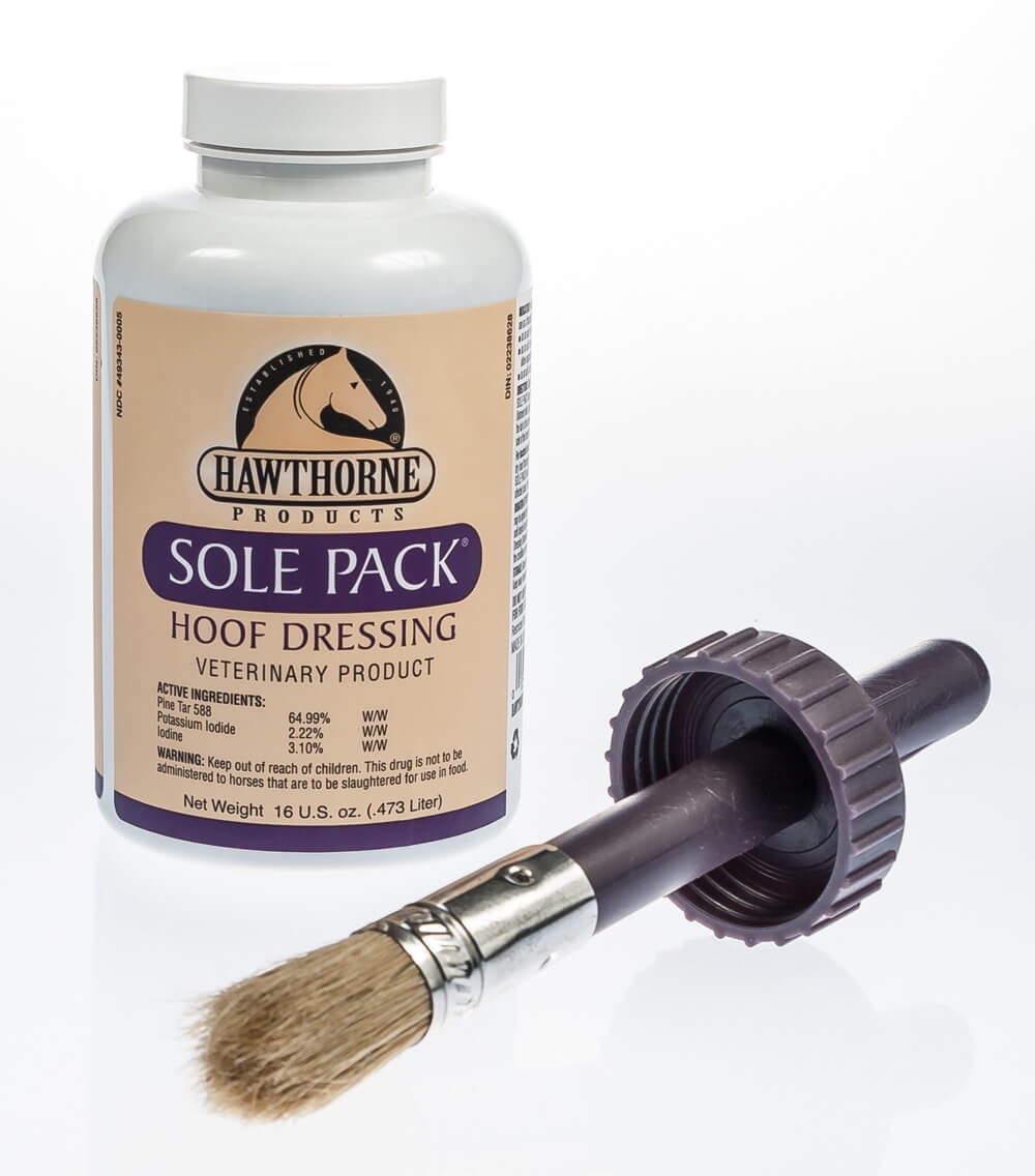 Shop Pharmacy for Sheep Rx Critical Care