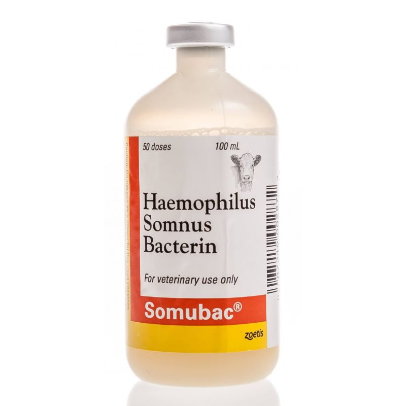 Somubac® | Santa Cruz Animal Health