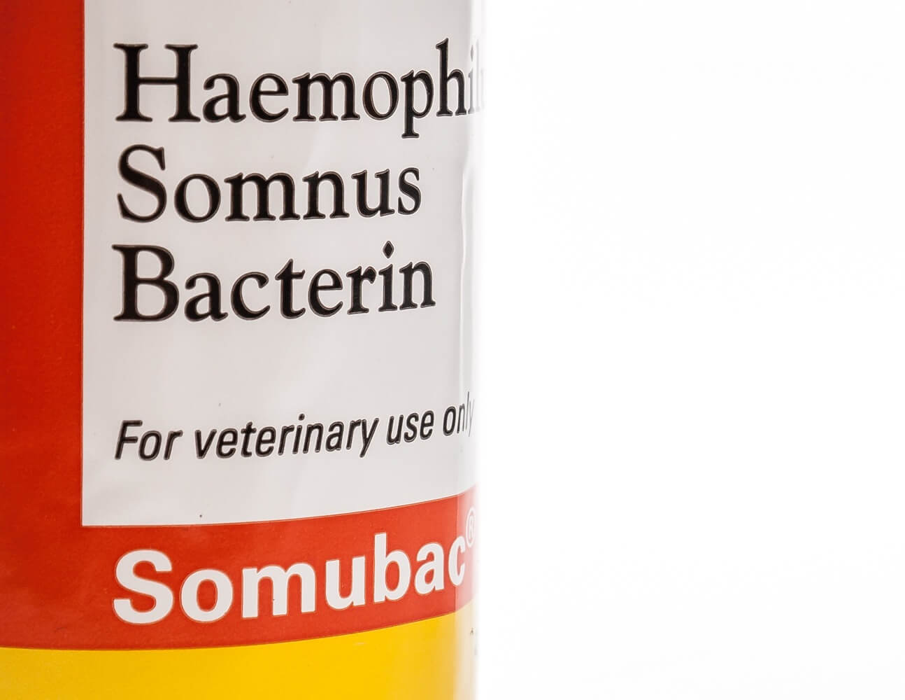 Shop Pharmacy for Sheep Rx Critical Care