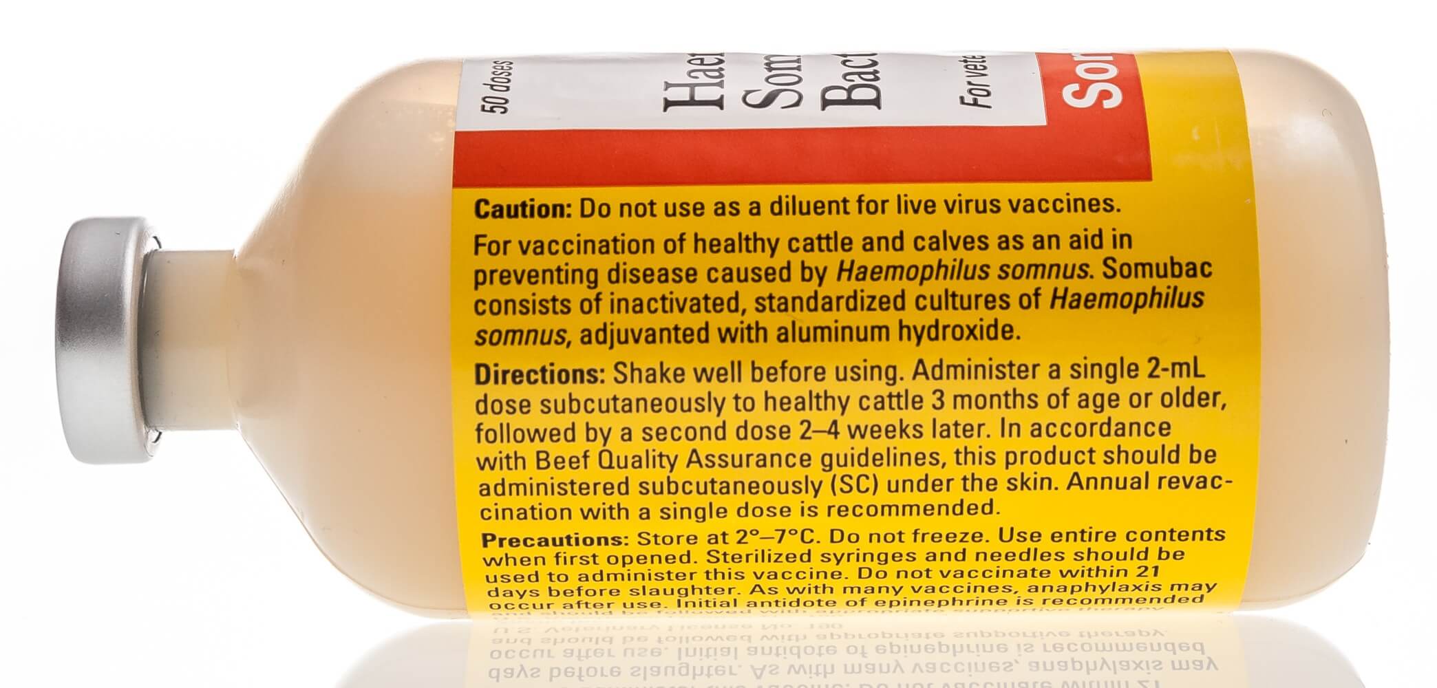 Somubac® | Santa Cruz Animal Health