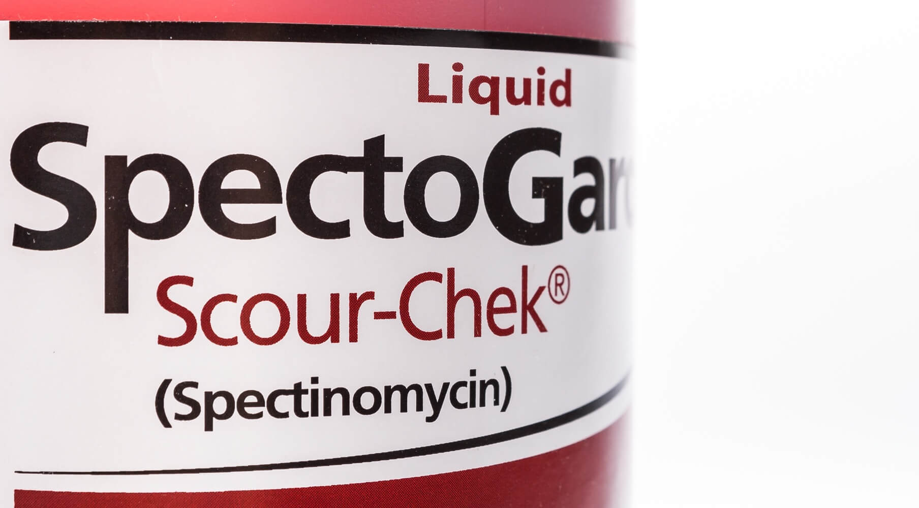 Shop Pharmacy for Sheep Rx Critical Care