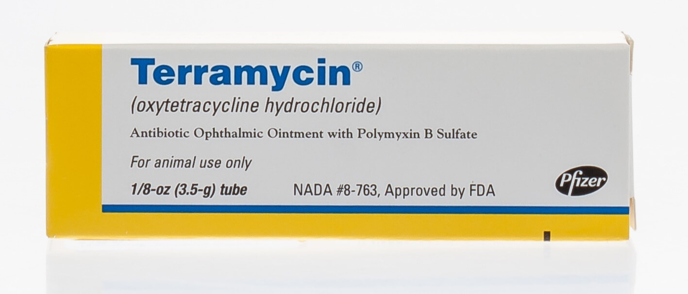 Shop Pharmacy for Sheep Rx Critical Care