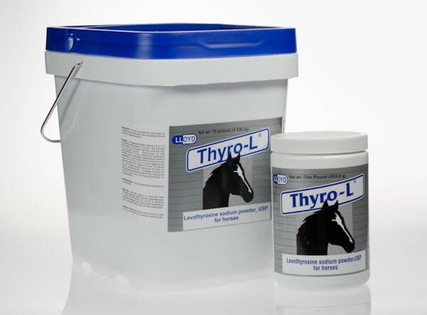 Thyro-L® | Santa Cruz Animal Health