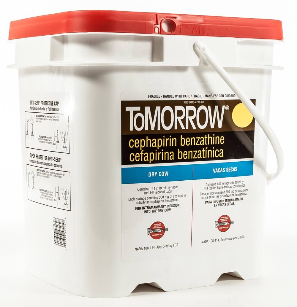 ToMORROW® | Santa Cruz Animal Health