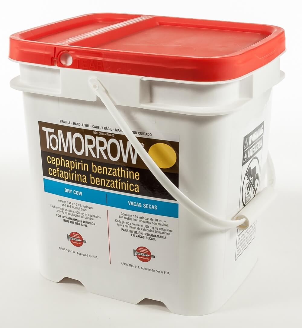 ToMORROW® | Santa Cruz Animal Health