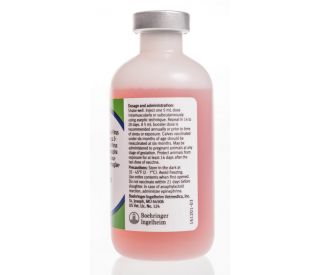Triangle ® 10 HB, 10 ds: sc-363425...