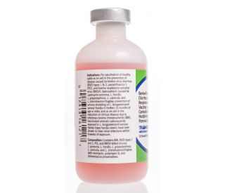 Triangle ® 10 HB, 10 ds: sc-363425...