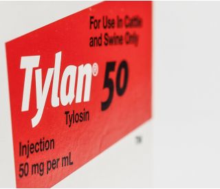Tylan 50 Injection, 100 ml